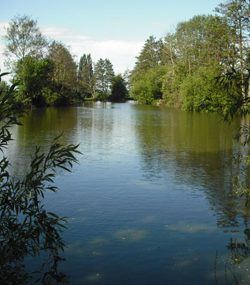 BDAS Fishing & Angler Lake Kent