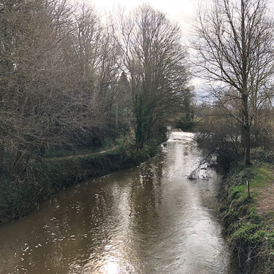 River Medway Fishing