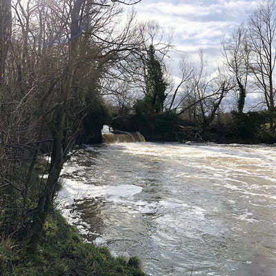 River Medway Fishing